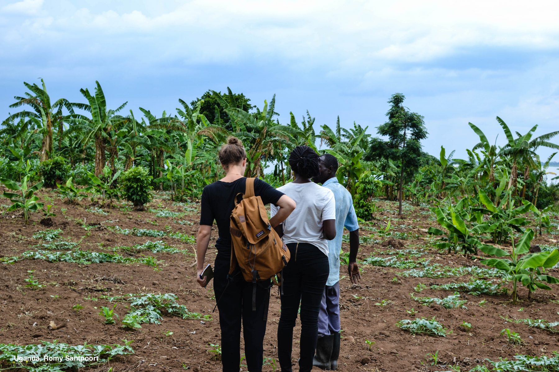 Risk assessment in relation to land – LANDac